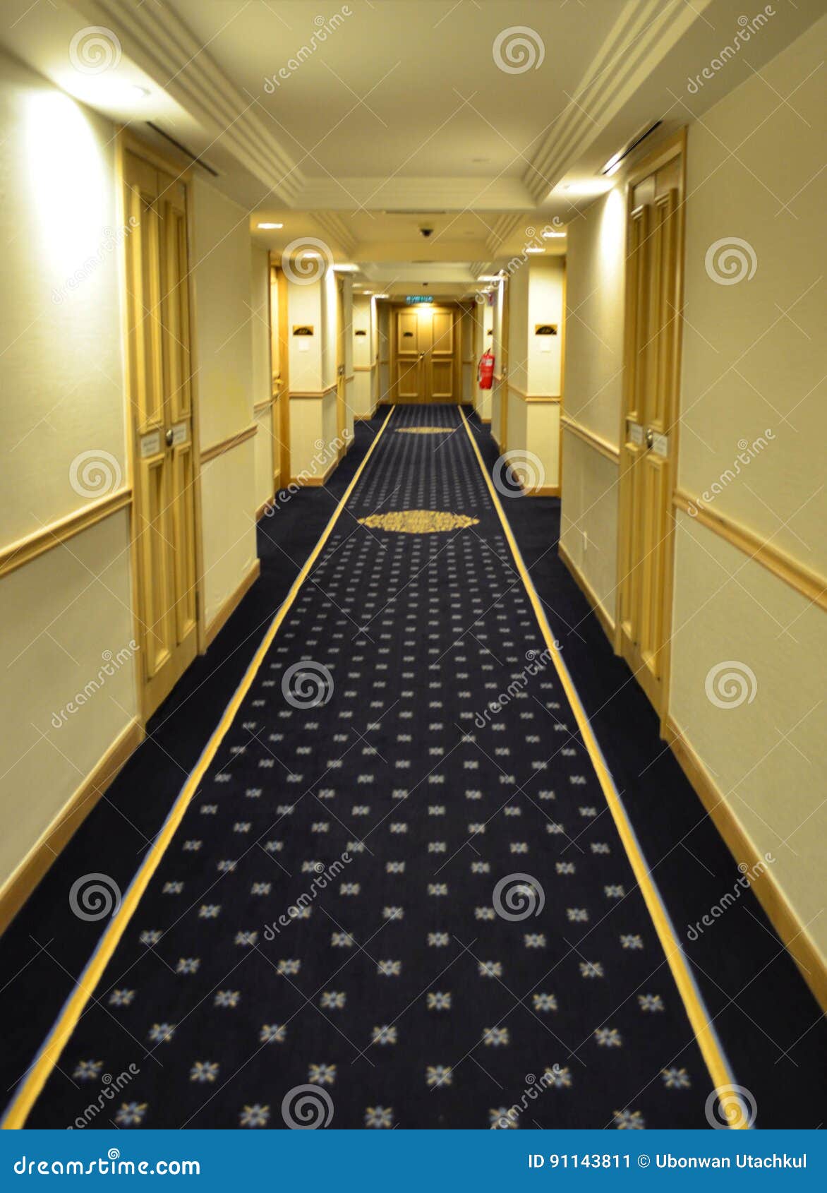 Luxurious hotel hall way stock image. Image of design - 91143811