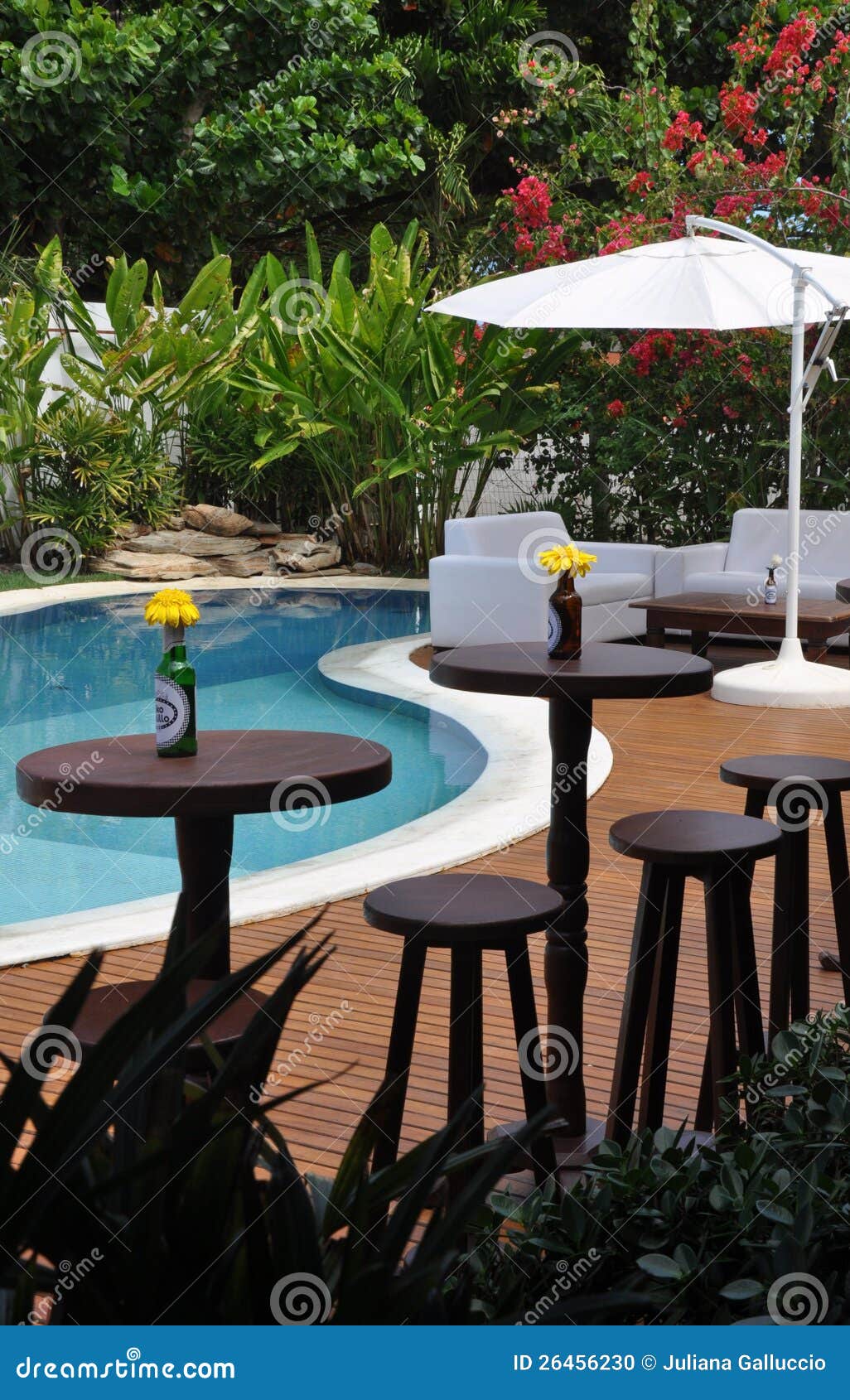 Luxurious Hotel Pool and Bar Stock Photo - Image of public, pool: 26456230
