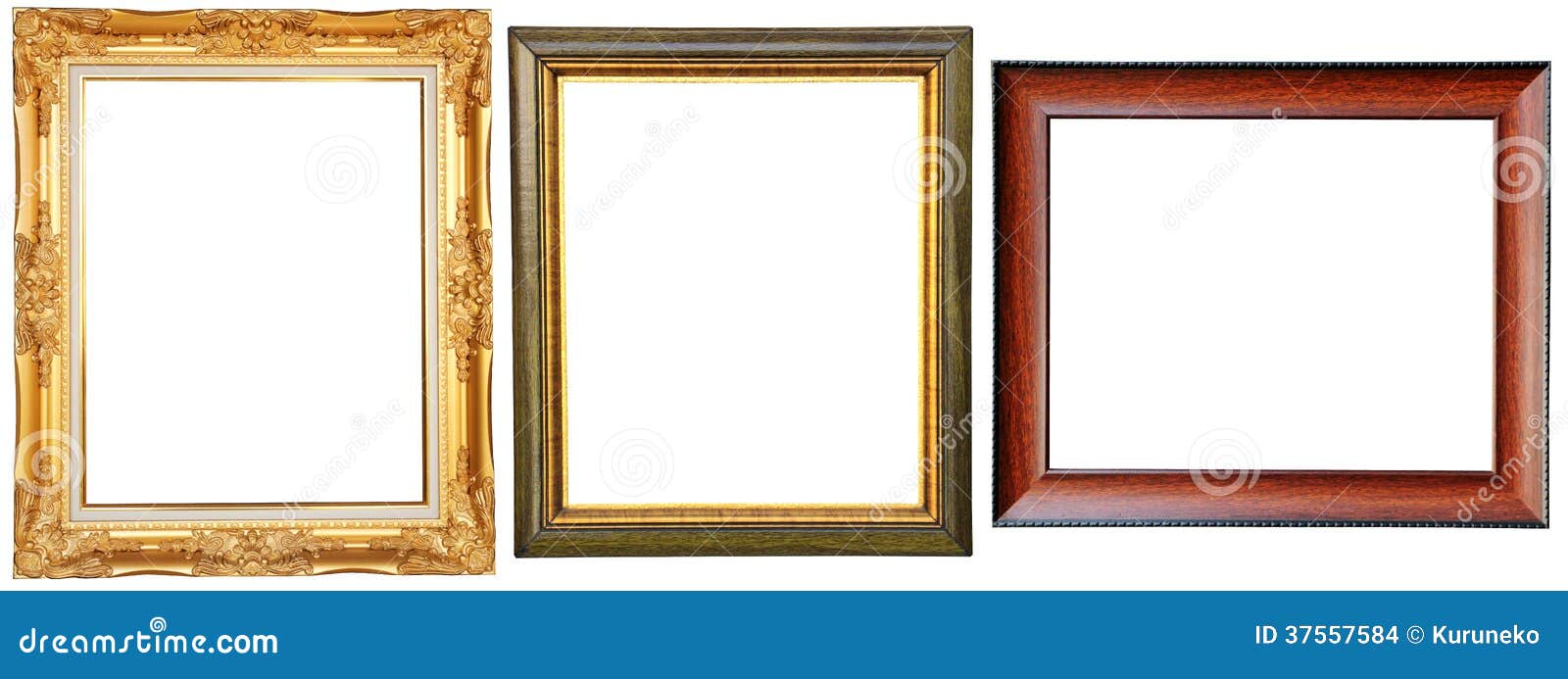 Luxurious picture frames stock photo. Image of portrait - 37557584