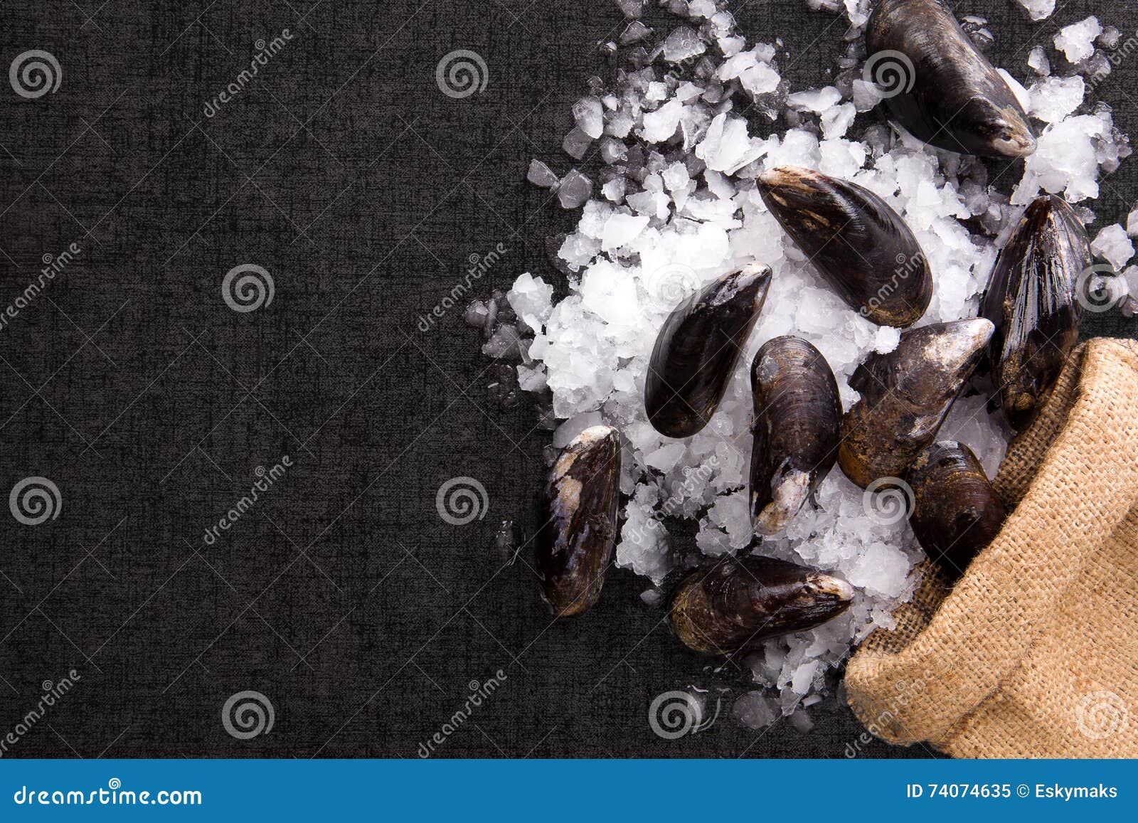 Luxurious Seafood Background. Stock Image - Image of gourmet, culinary ...