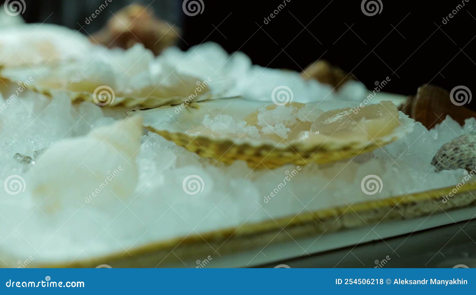 Luxurious Seafood Dish from the Chef on Ice Stock Footage - Video of ...