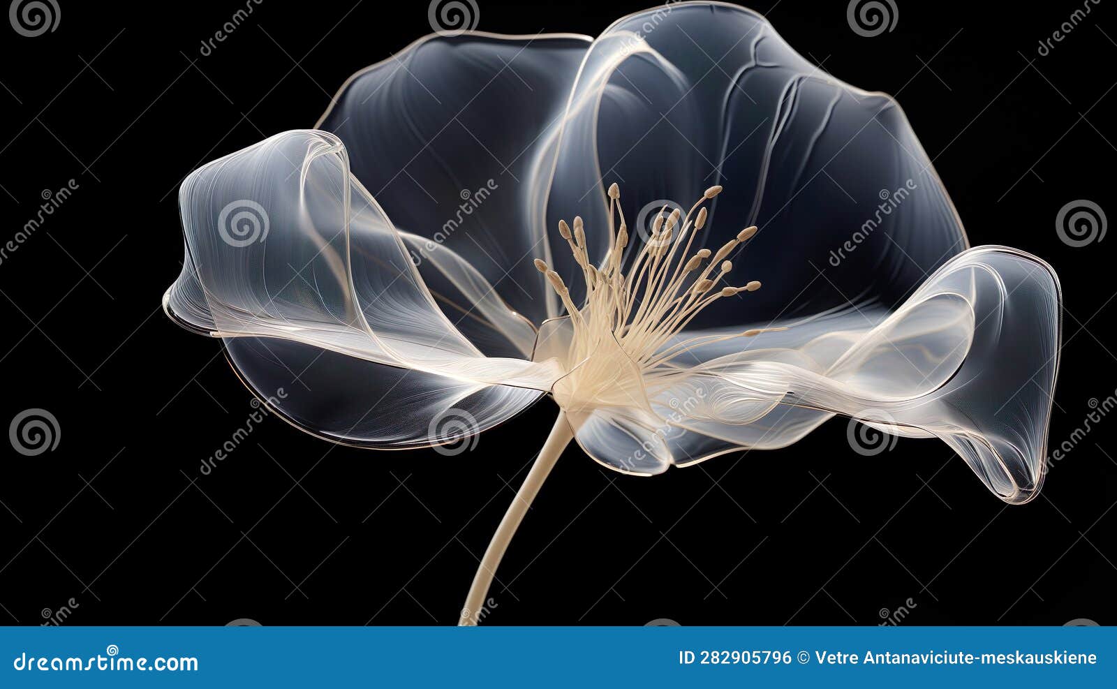Luxury Background with Transparent X Ray Flowers. Generative Ai. Stock ...
