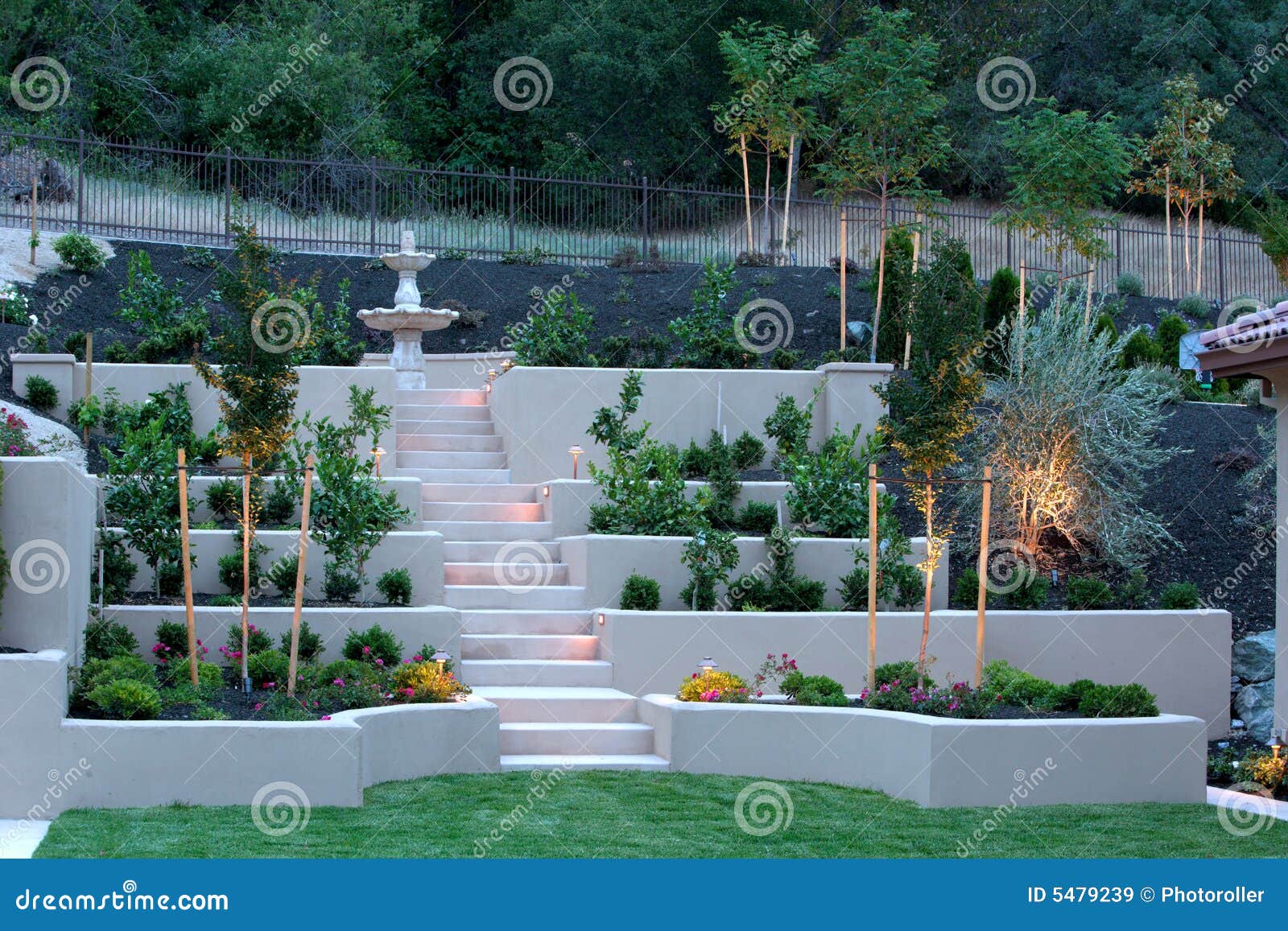 Luxury backyard stock image. Image of living, evening - 5479239