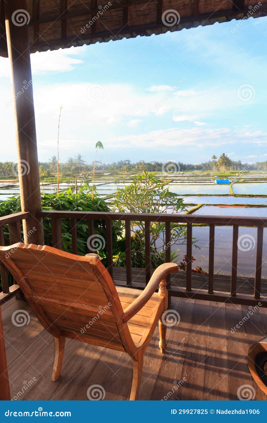 Balcony Overlooking Rice Fields Stock Image - Image of ecology, nature ...