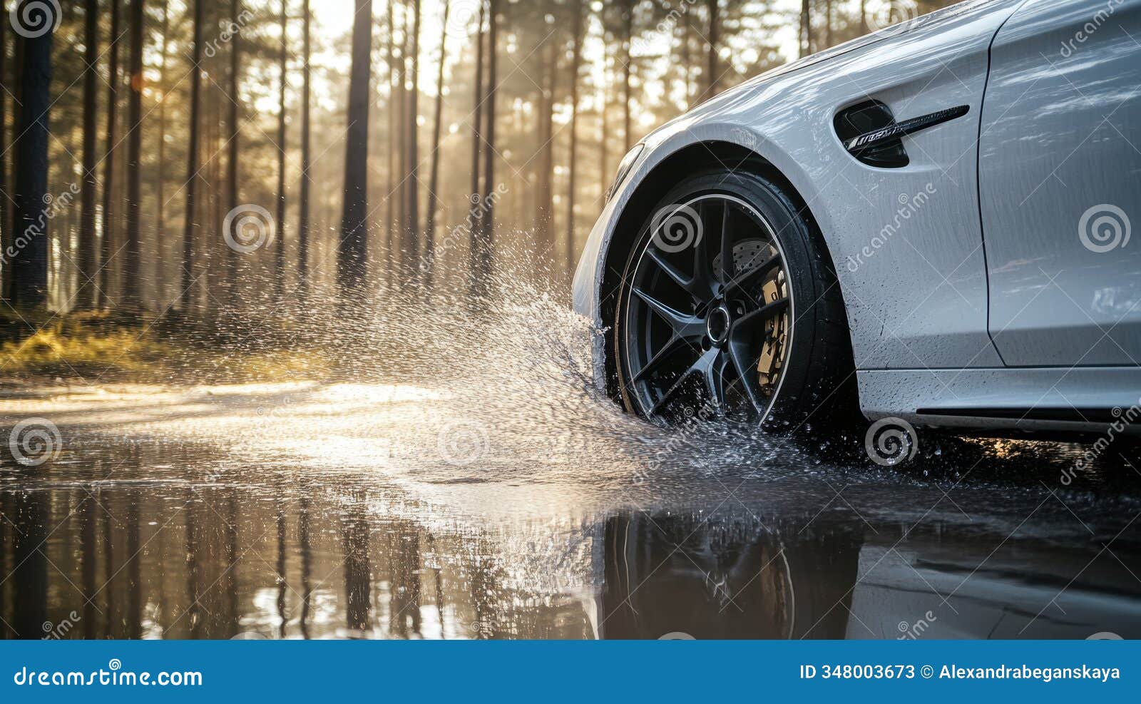 Luxury Car Splashing through Water in Forest Setting at Sunrise Stock ...