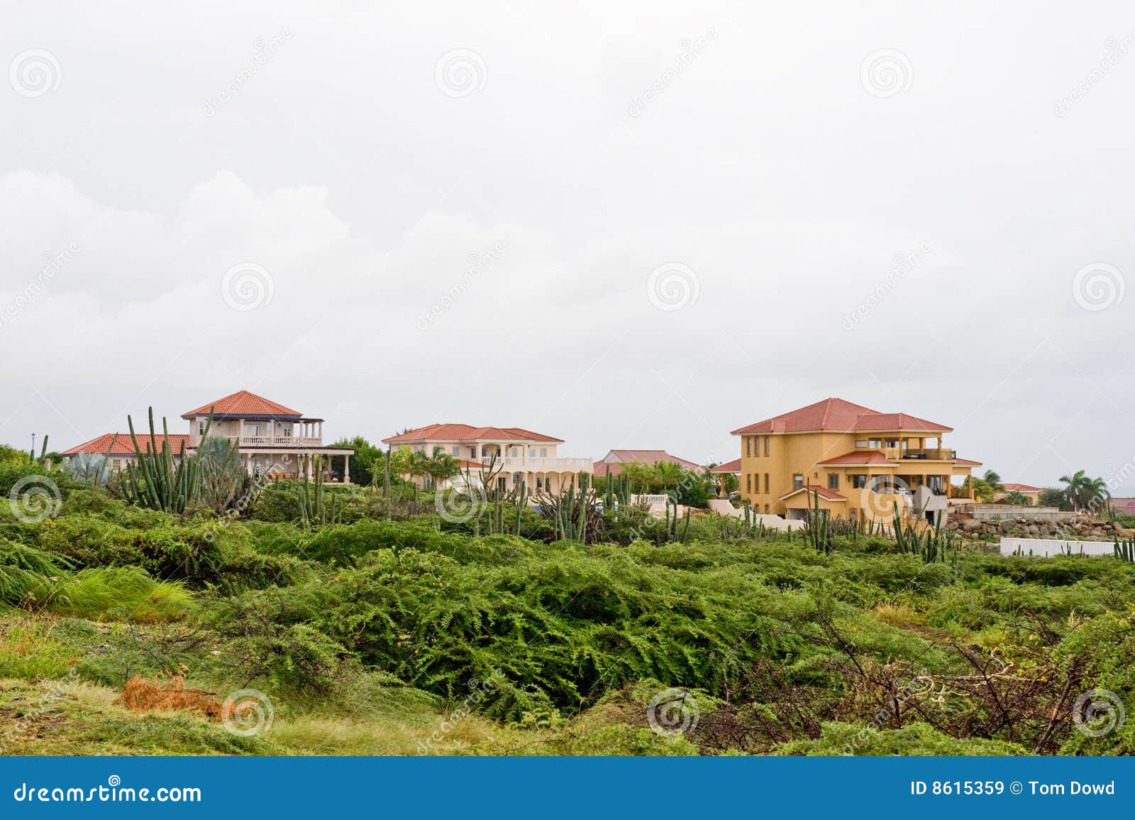 Luxury Caribbean homes stock image. Image of houses, fancy - 8615359