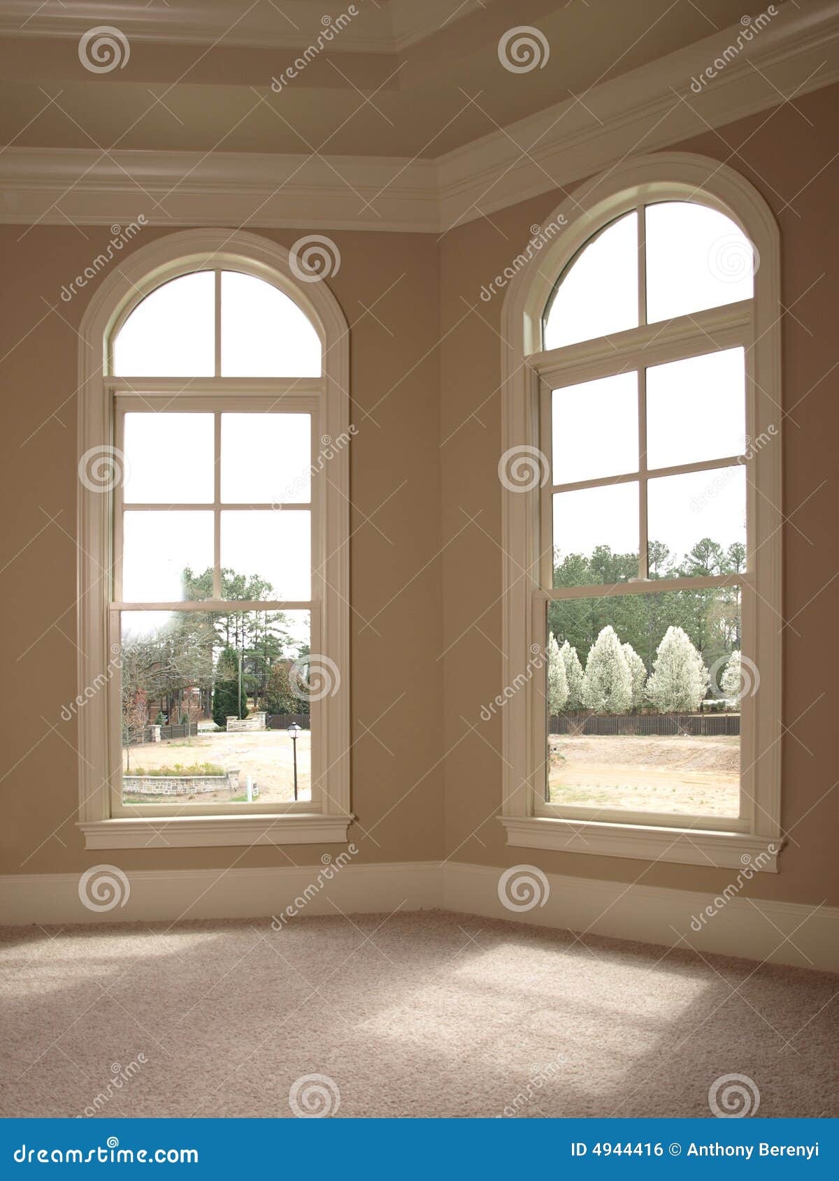 Luxury Double Arch Window stock photo. Image of pane, wooden - 4944416