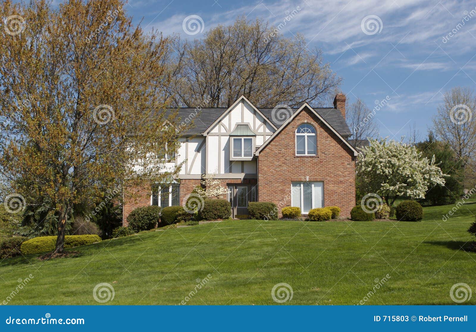 Luxury Executive Home stock image. Image of large, contemporary - 715803