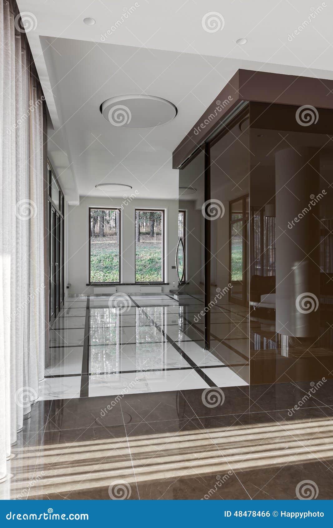 Luxury hall interior stock photo. Image of green, luxury - 48478466