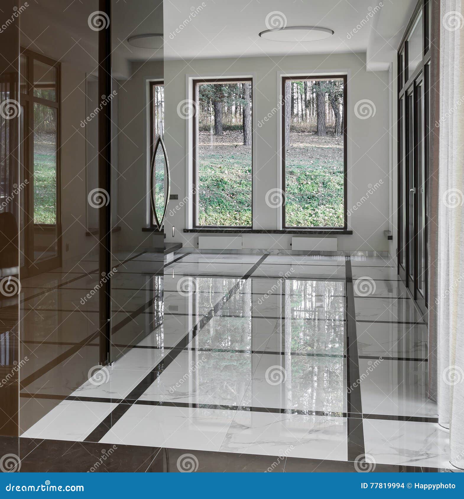 Luxury hall interior stock photo. Image of residential - 77819994