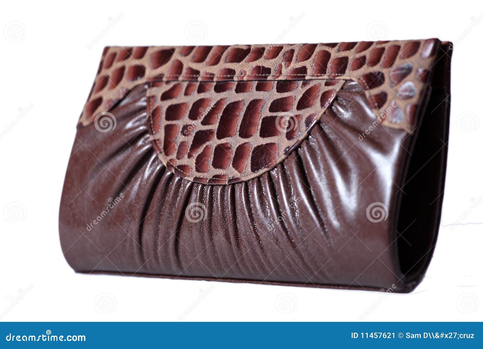 Luxury Hand Bag / Purse stock image. Image of fashion - 11457621