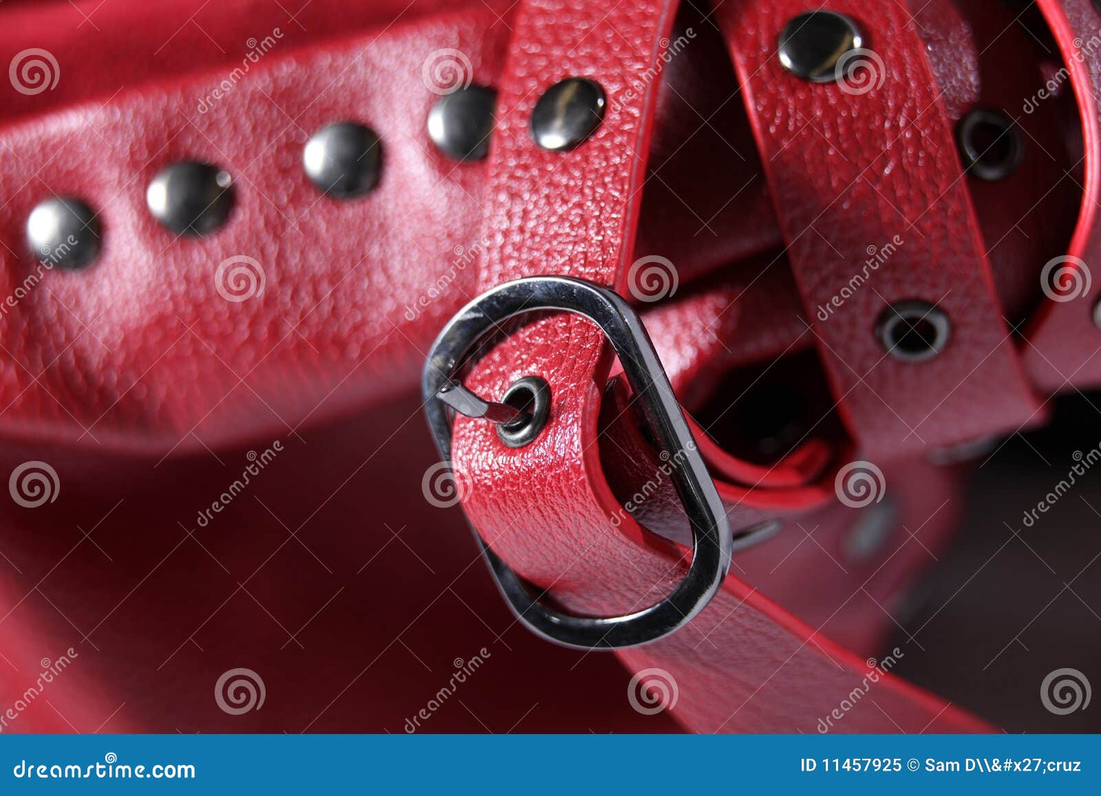 Luxury Hand Bag / Purse stock image. Image of clasp, fashionable - 11457925