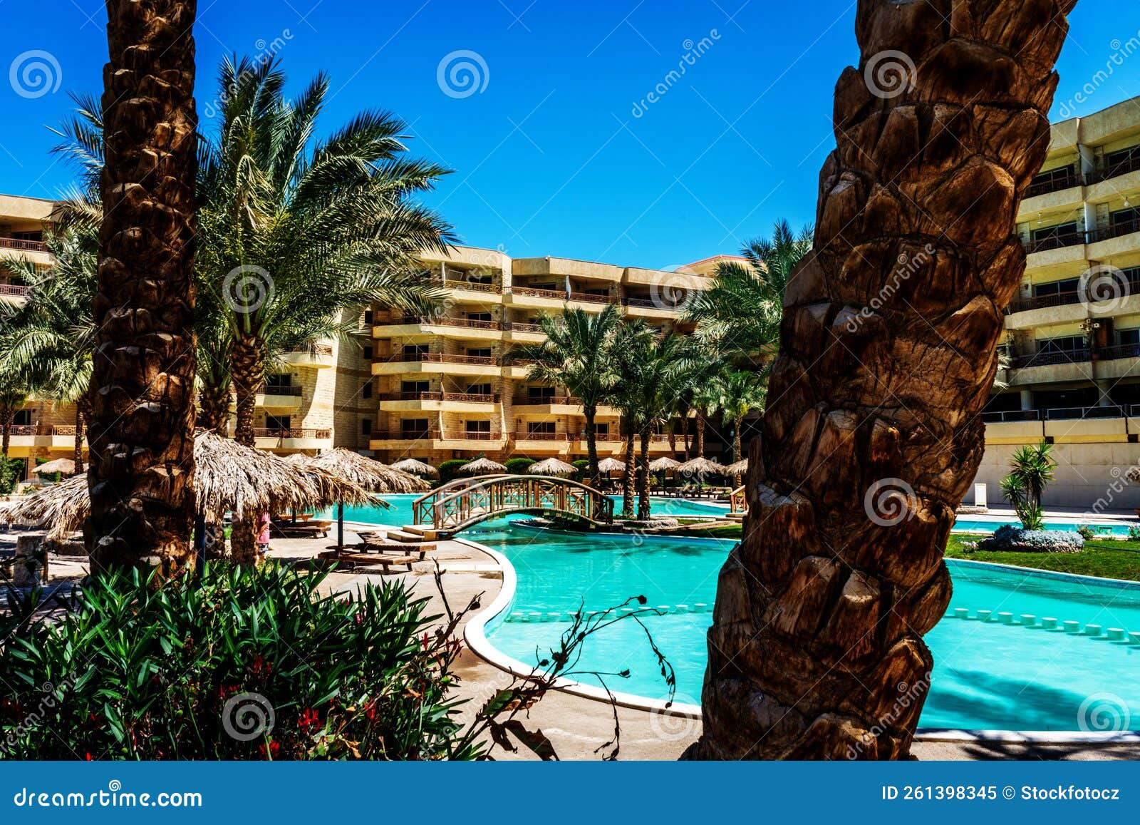 Luxury Hotel and Swimming Pool Stock Image - Image of coconut, travel ...