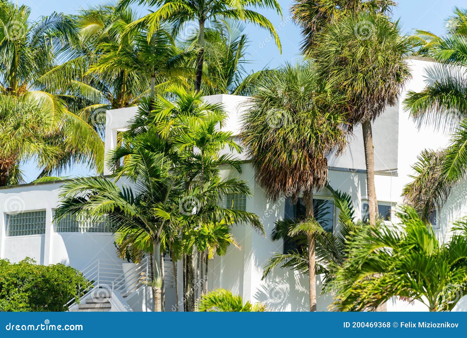 Luxury House with Palm Trees Stock Photo - Image of colorful, luxury ...