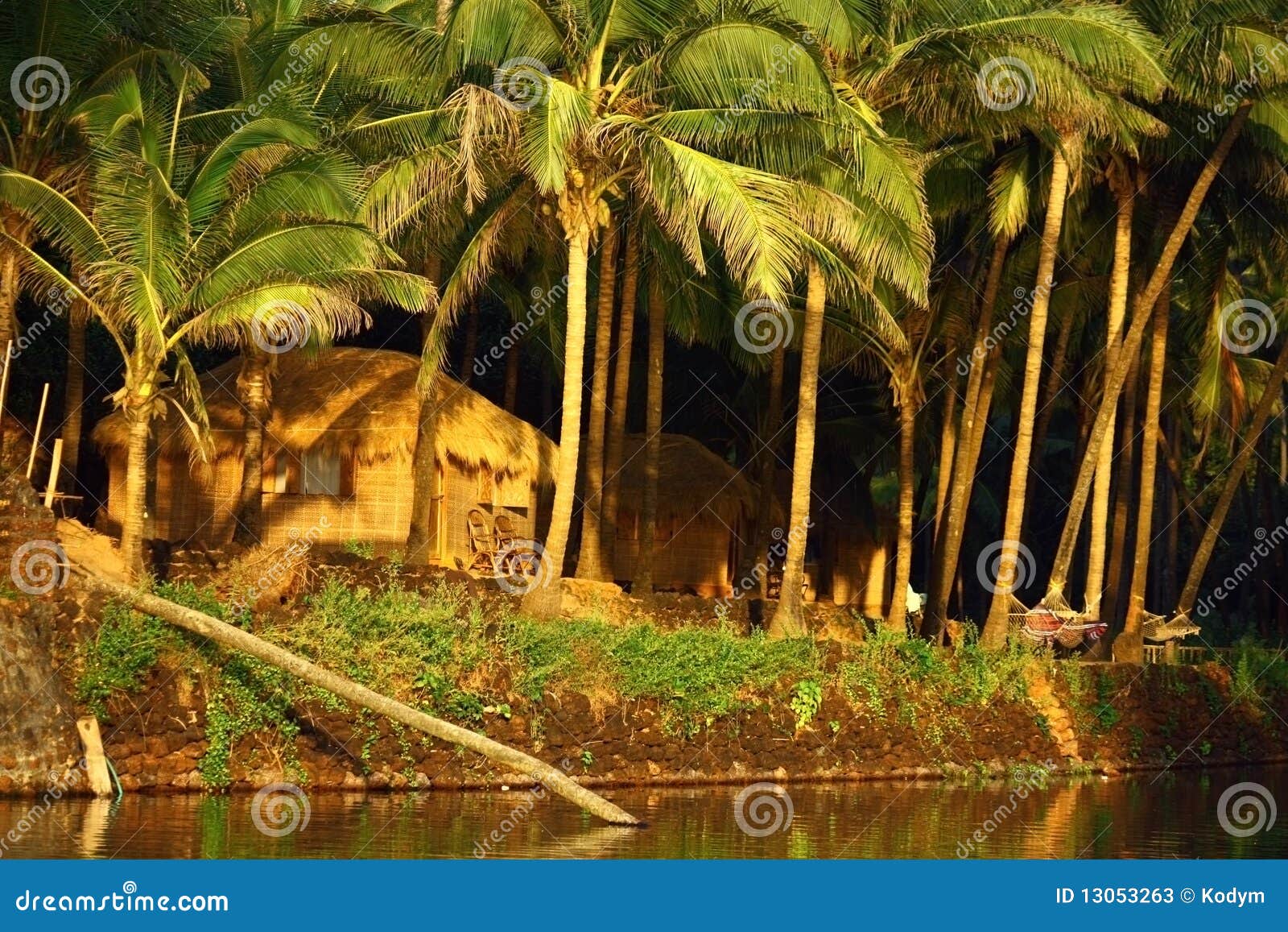 Luxury hut under palm tree stock image. Image of nature - 13053263