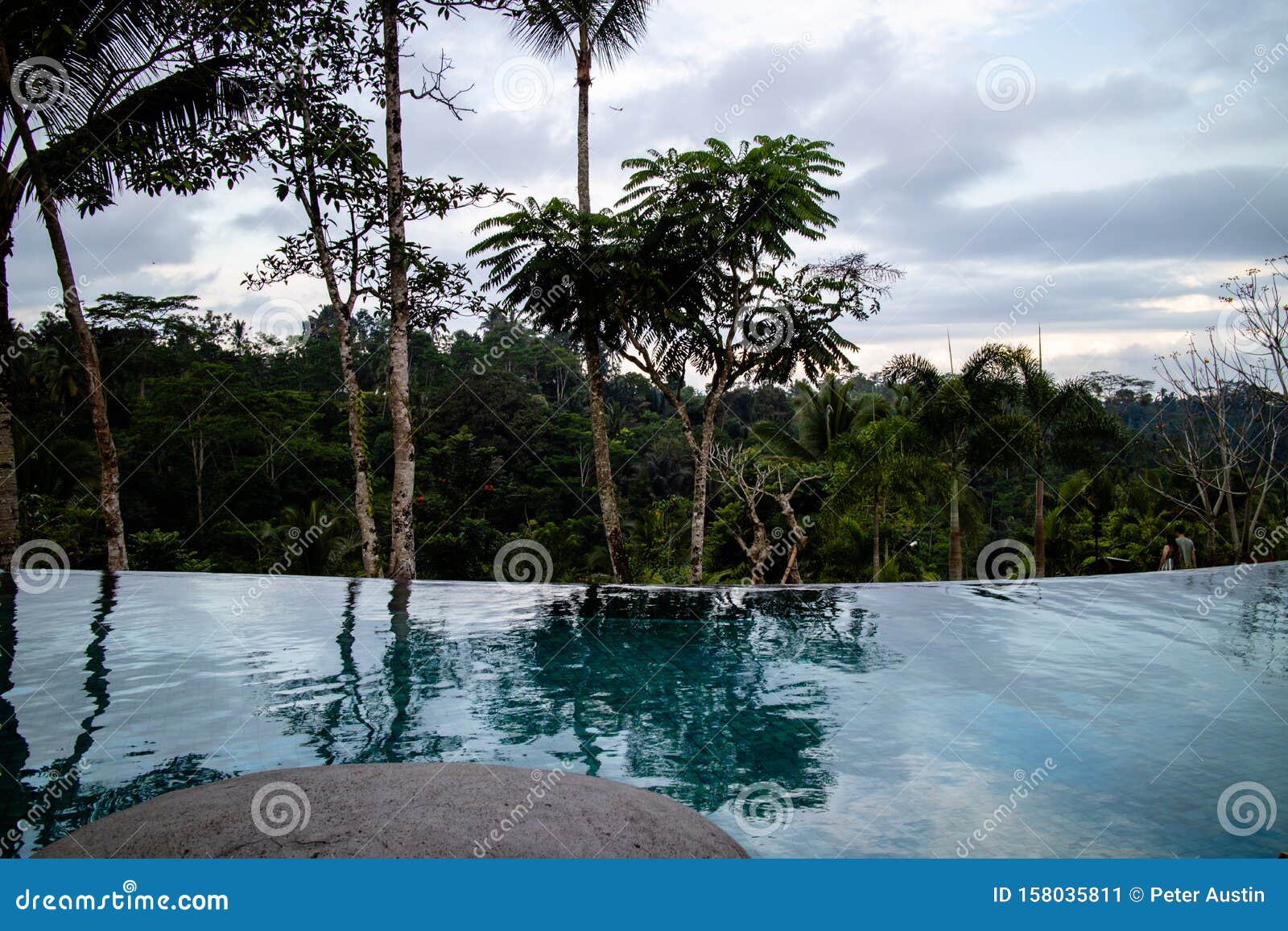 A Luxury Infinity Pool in a Tropical Resort Stock Image - Image of ...