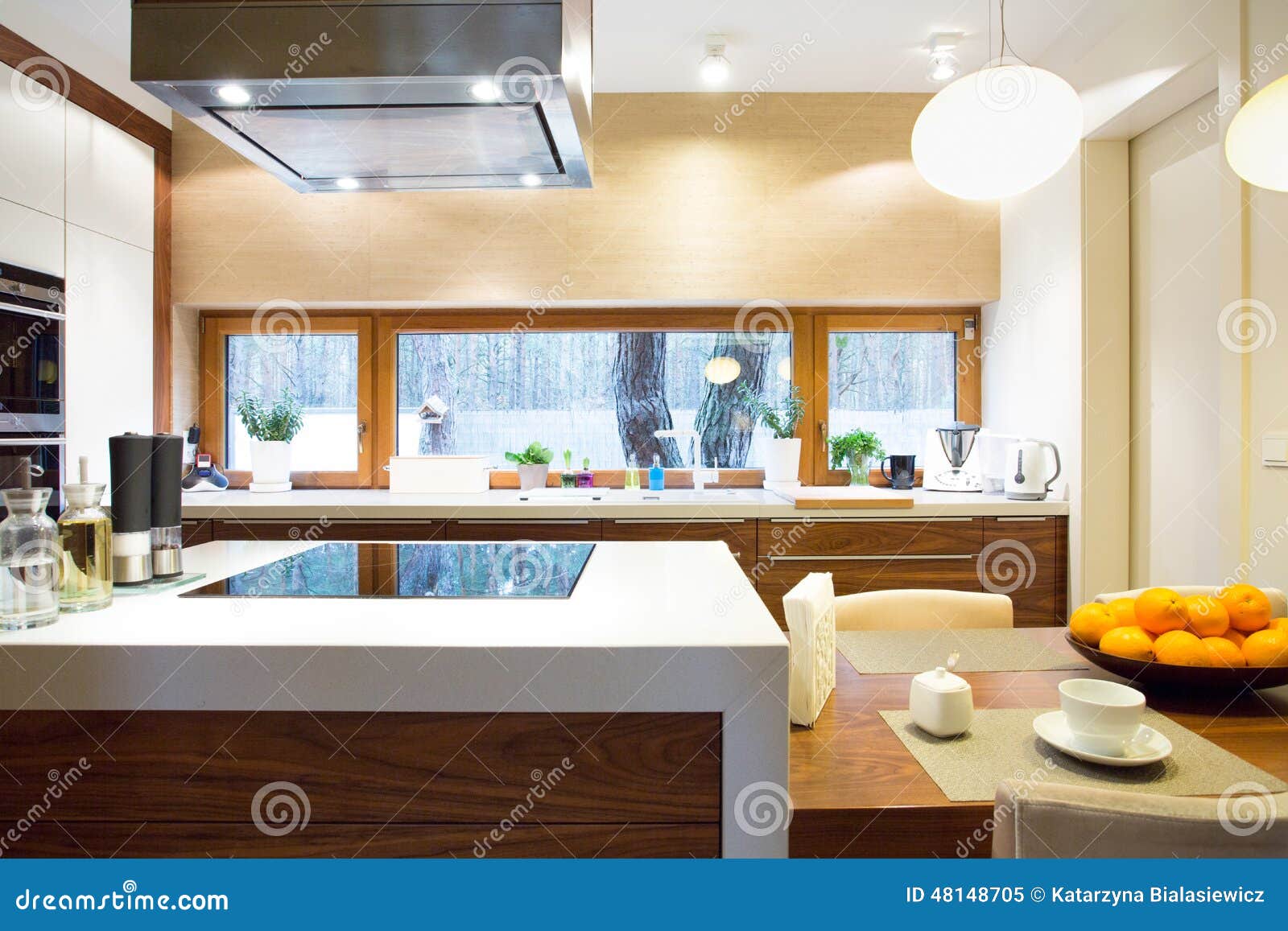 Luxury Kitchen with Modern Equipment Stock Image - Image of ease ...