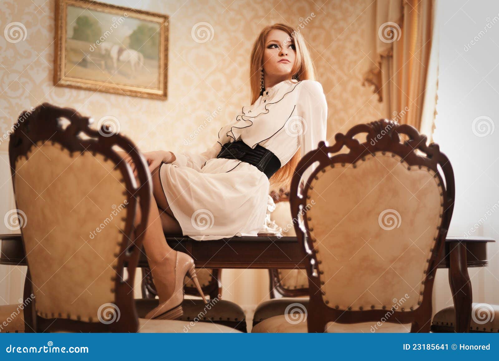 Luxury Lady in Luxury Interior Stock Image - Image of model, slim: 23185641
