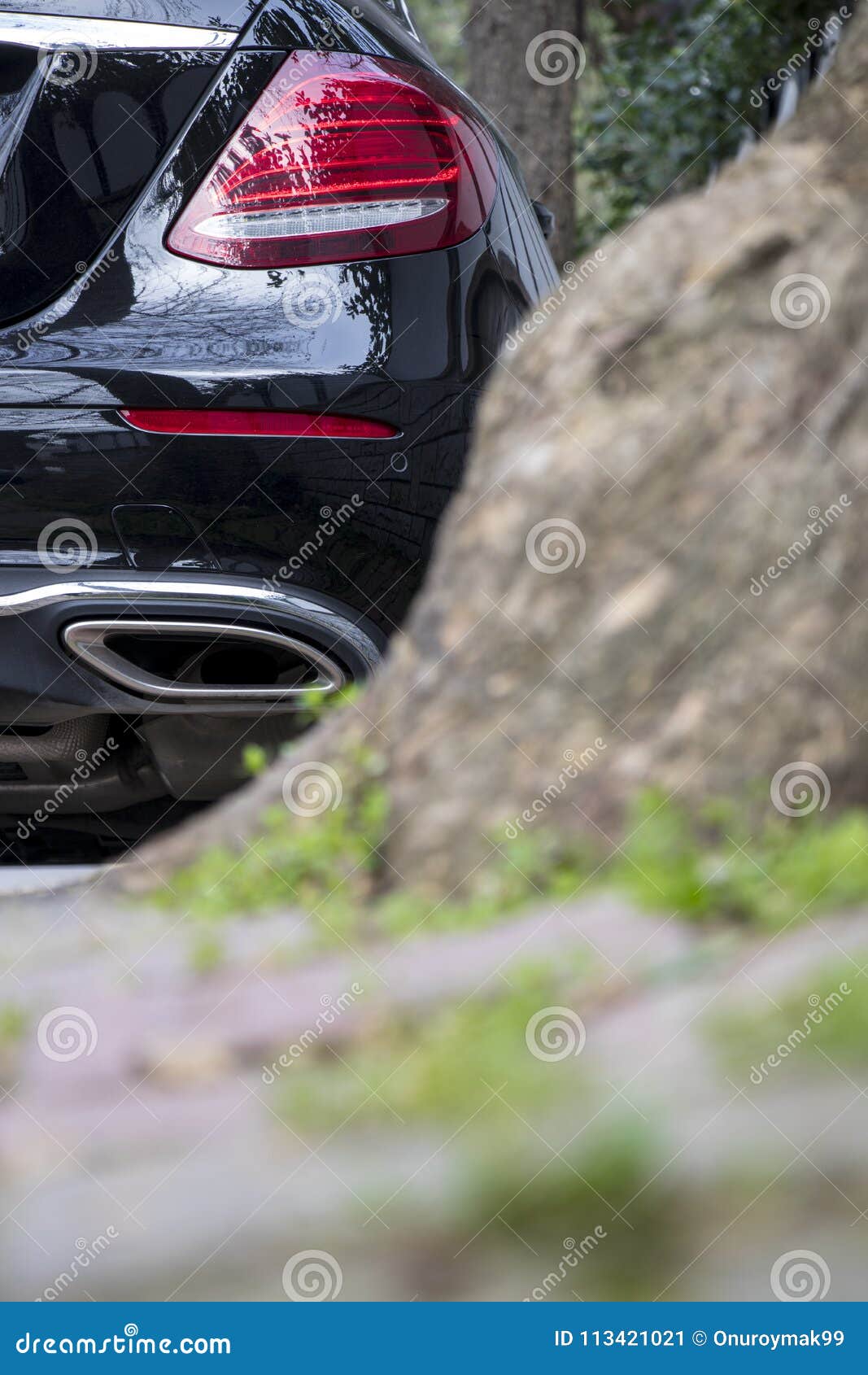 Luxury Modern Car Behind Tree in Street Stock Image - Image of vehicle ...