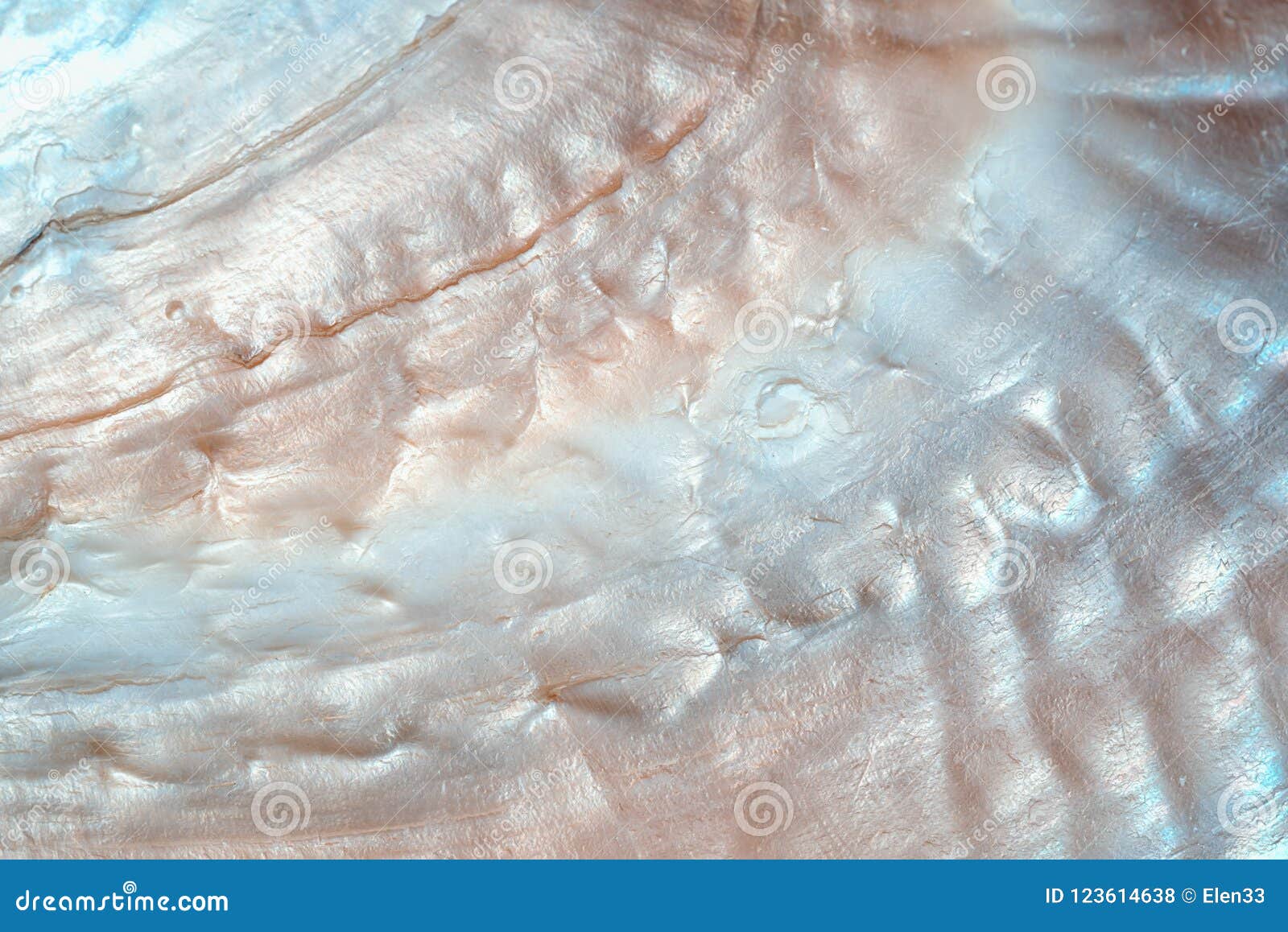 Luxury Nacre Seashell Background Texture Royalty-Free Stock Image ...