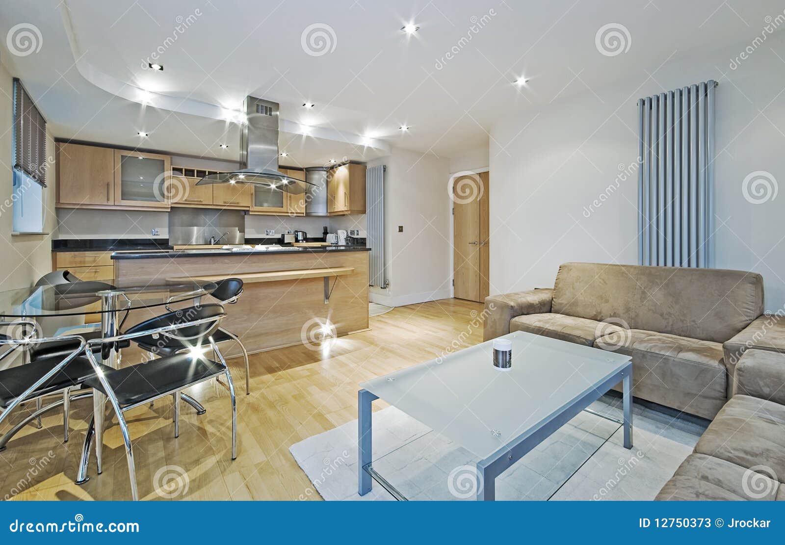 Luxury open plan apartment stock image. Image of hard - 12750373