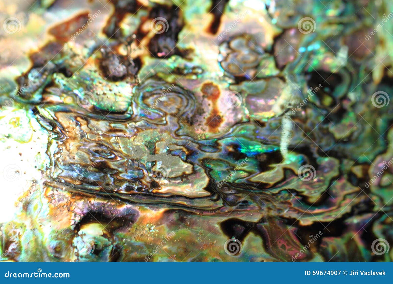 Pearl Texture Stock Photography | CartoonDealer.com #52505504