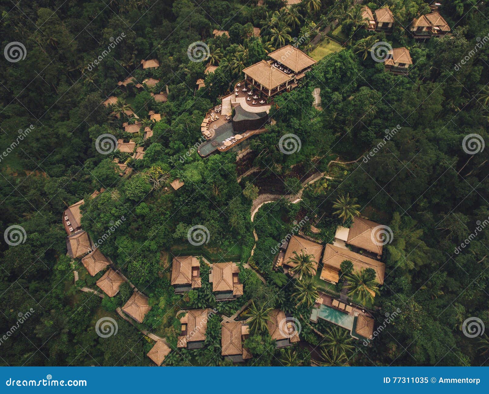 Luxury Resort in Forest Surrounded by Trees Stock Image - Image of ...