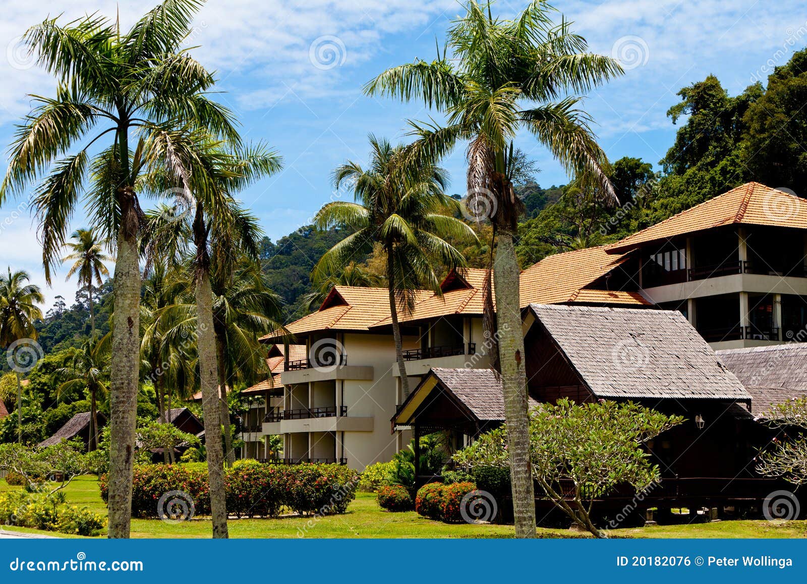 A Luxury Resort Near a Forest Stock Photo - Image of resort, travel ...