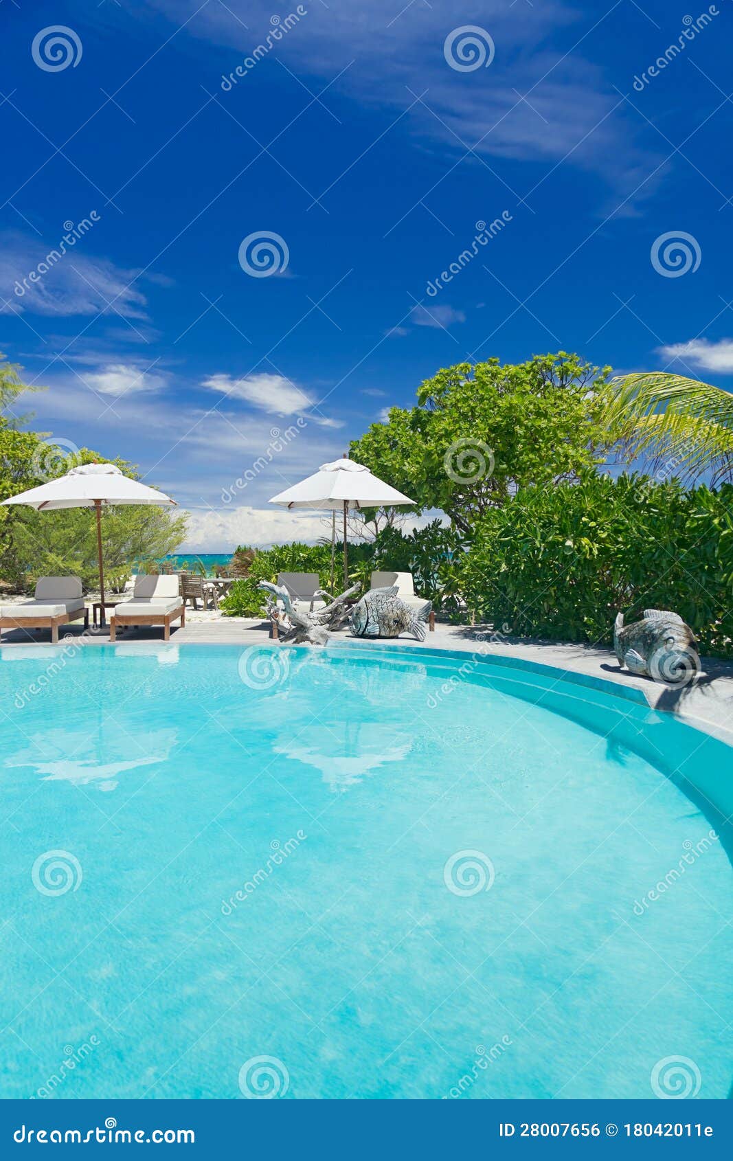 Luxury Resort Pool stock photo. Image of tropical, healthy - 28007656