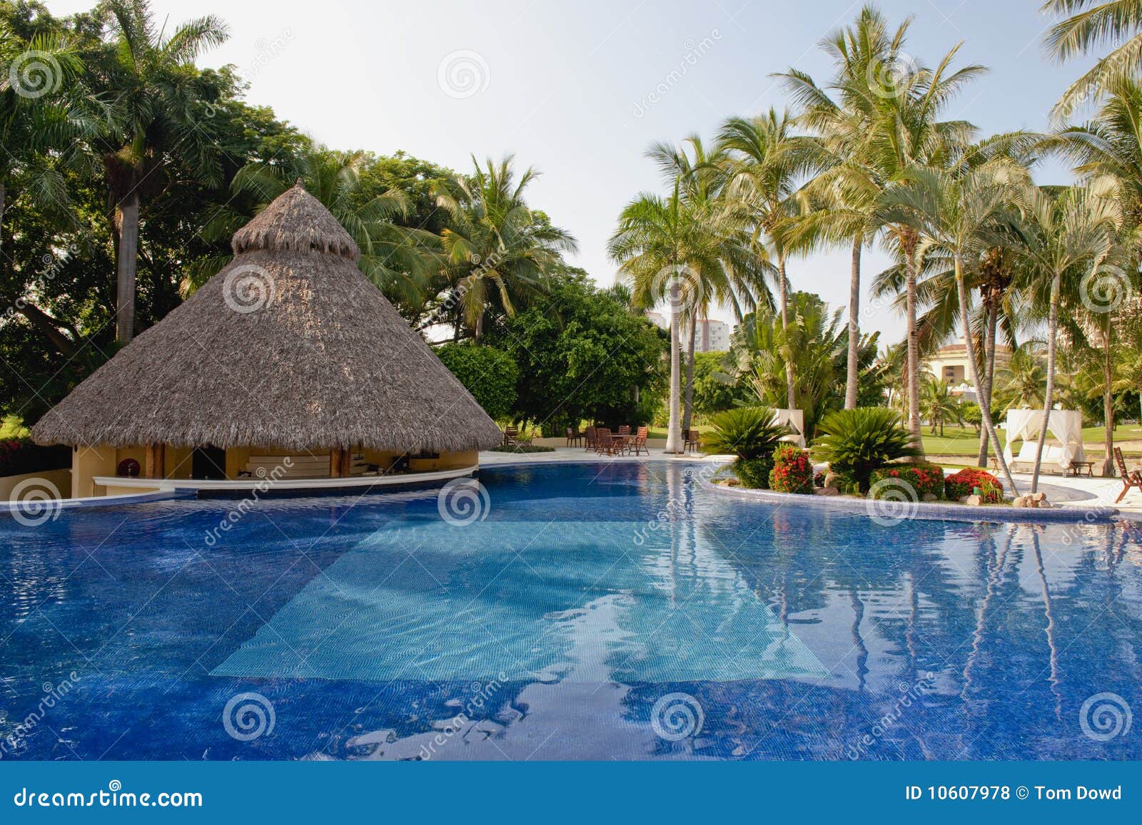 671 Luxury Fancy Pool Stock Photos - Free & Royalty-Free Stock Photos ...