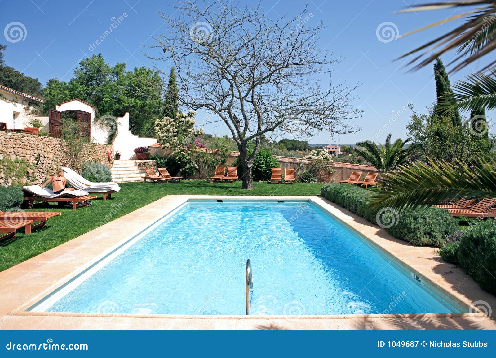 Luxury Rustic Hotel and Swimming Pool Stock Image - Image of long ...