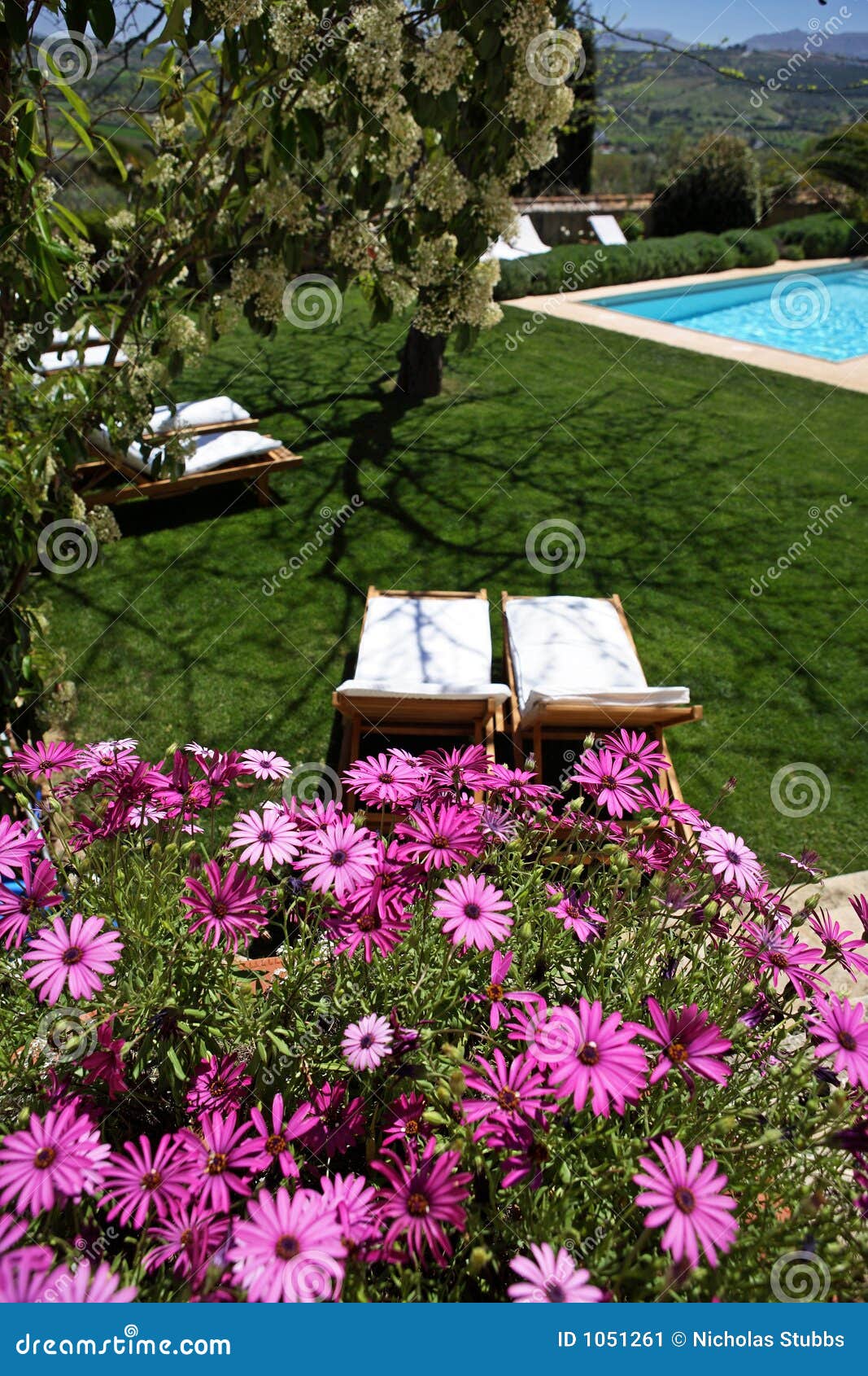 Luxury Rustic Hotel and Swimming Pool in Countryside Stock Image ...