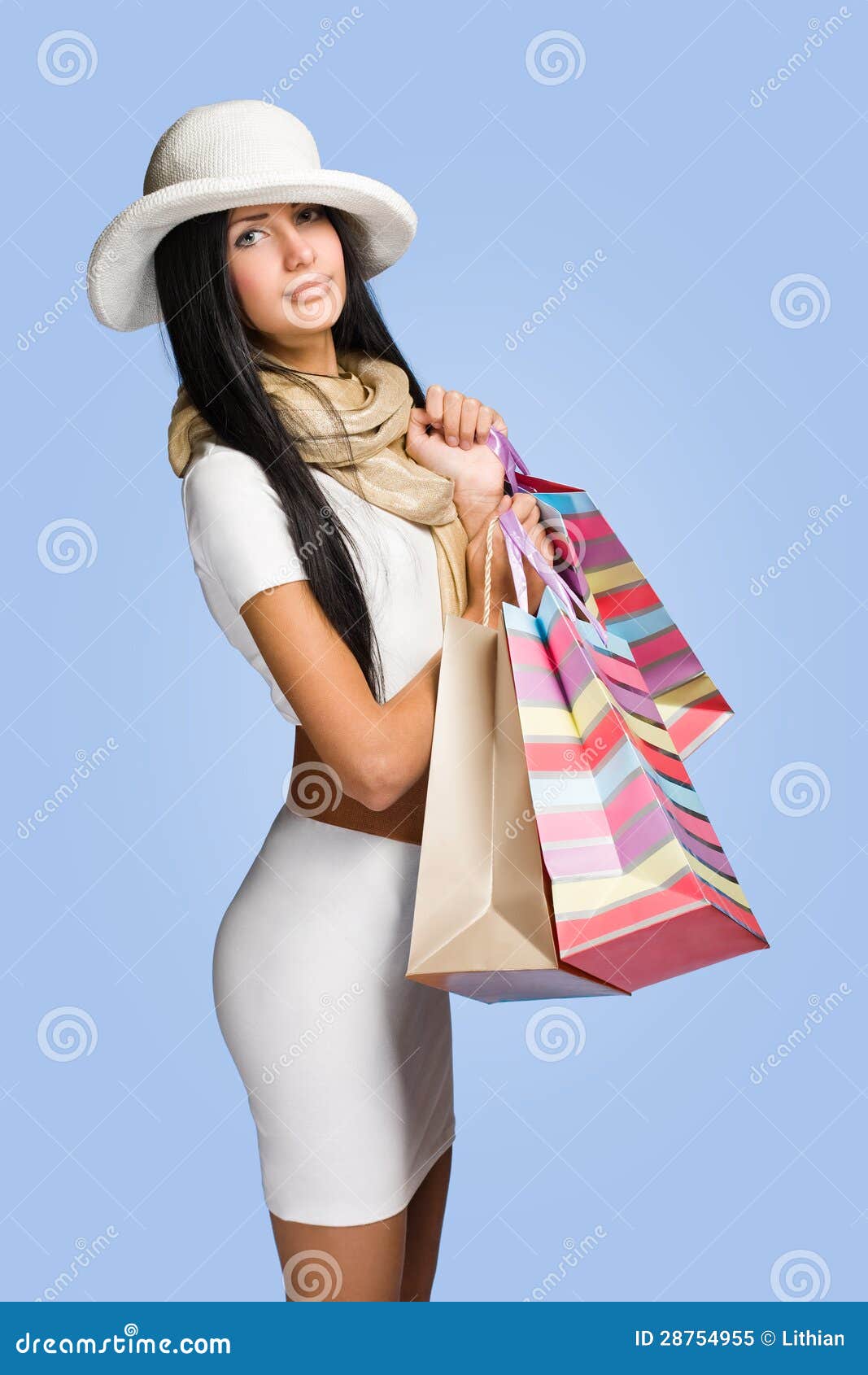 Luxury shopper. stock image. Image of happy, pretty, glamour - 28754955