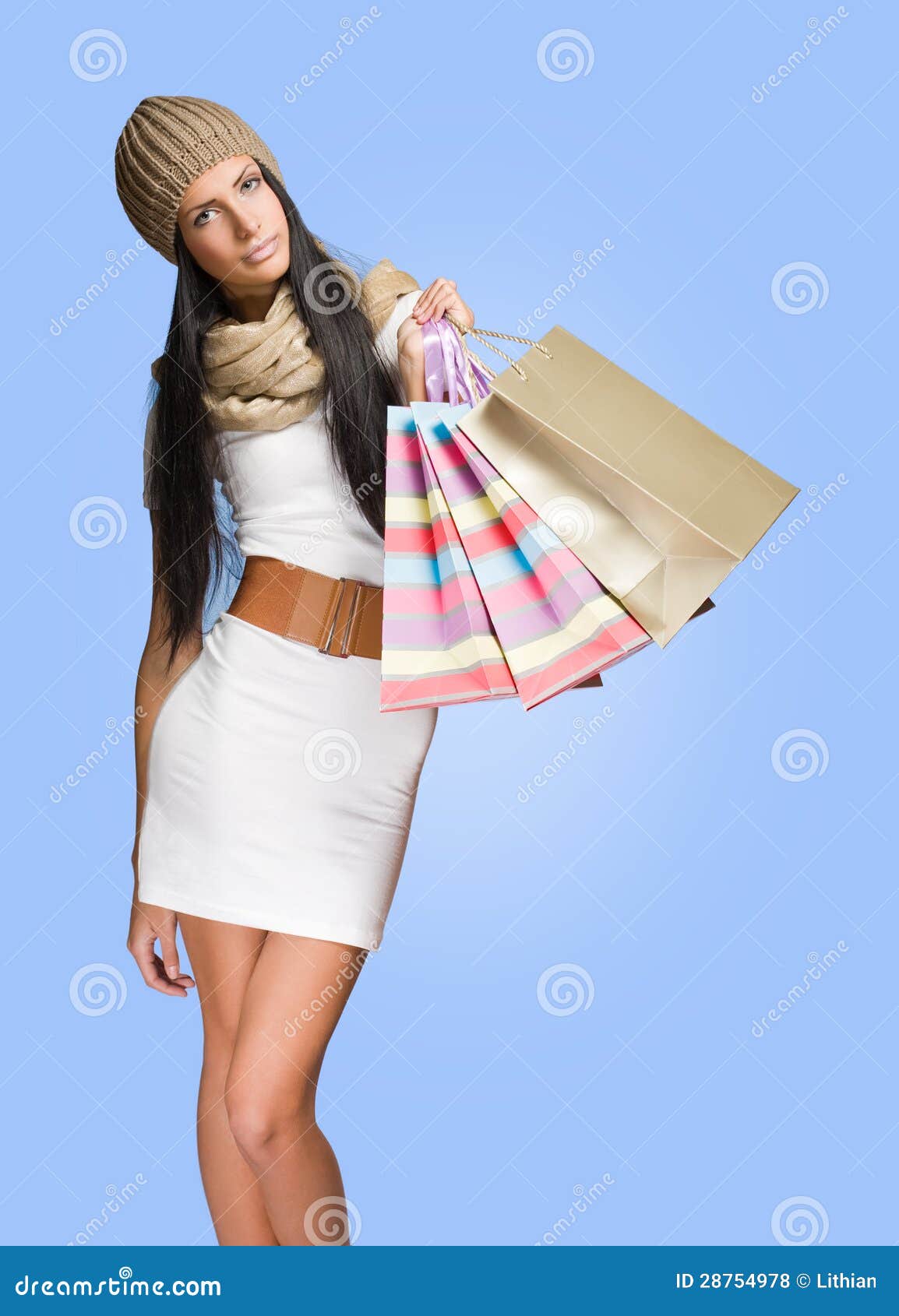 Luxury shopper. stock photo. Image of retail, sales, pretty - 28754978