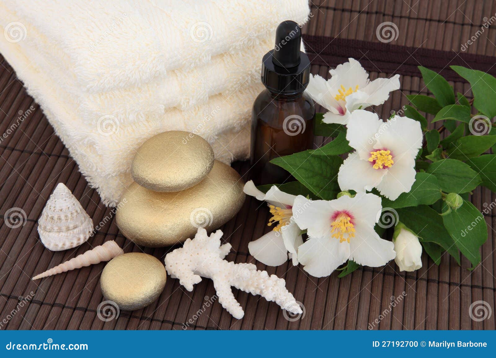 Luxury Spa Treatment stock photo. Image of pure, philadelphus - 27192700
