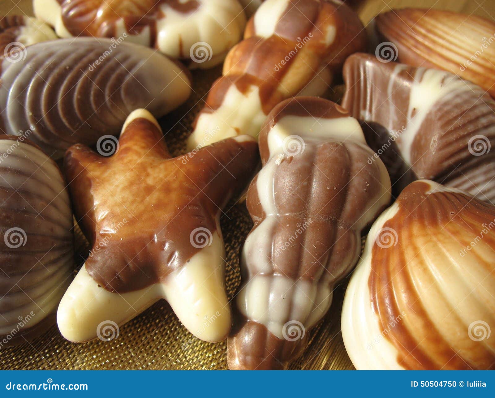 Luxury sweets stock photo. Image of chocolates, seashells - 50504750