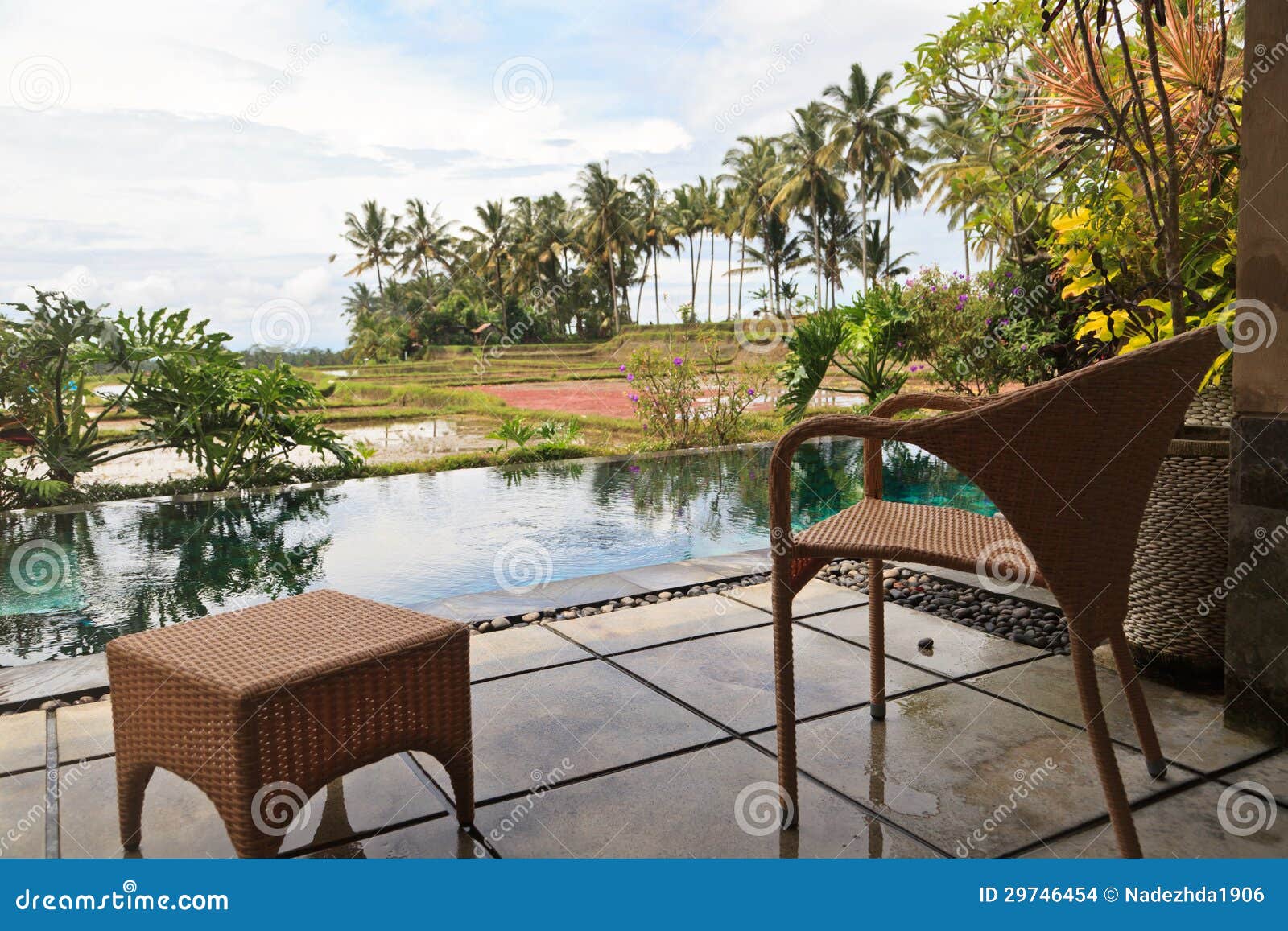 Terrace Overlooking Rice Fields Stock Photo - Image of agriculture ...
