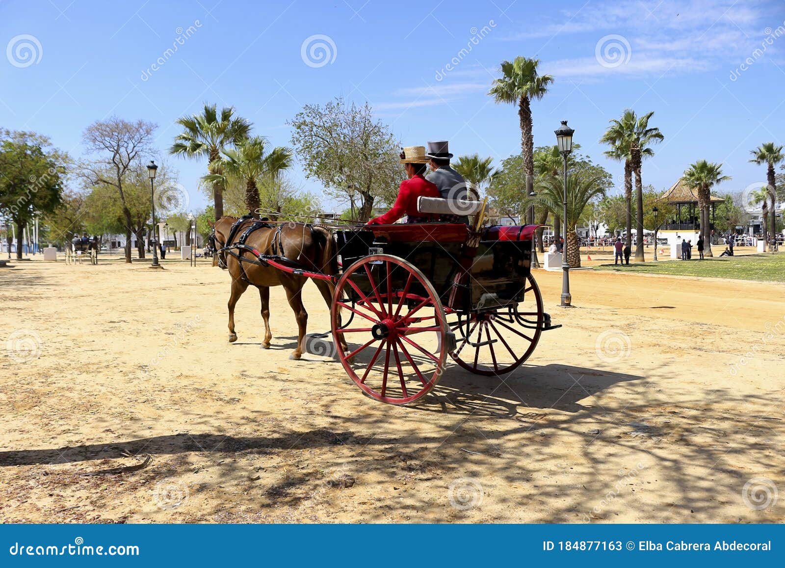 Two-wheeled Carriage Pulled by a Horse Editorial Stock Photo - Image of ...