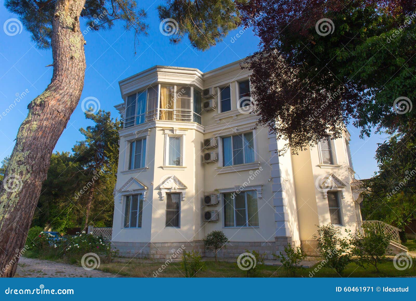 Luxury Villa with Pine Tree Stock Image - Image of real, pine: 60461971