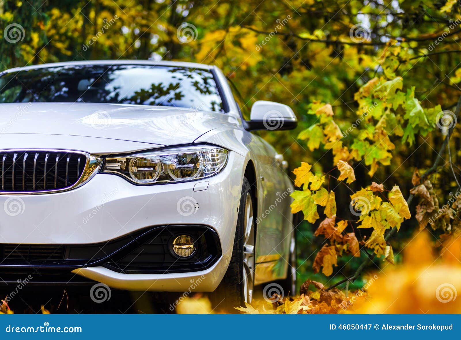 Luxury White Car and Autumn Colors Stock Image - Image of fast ...