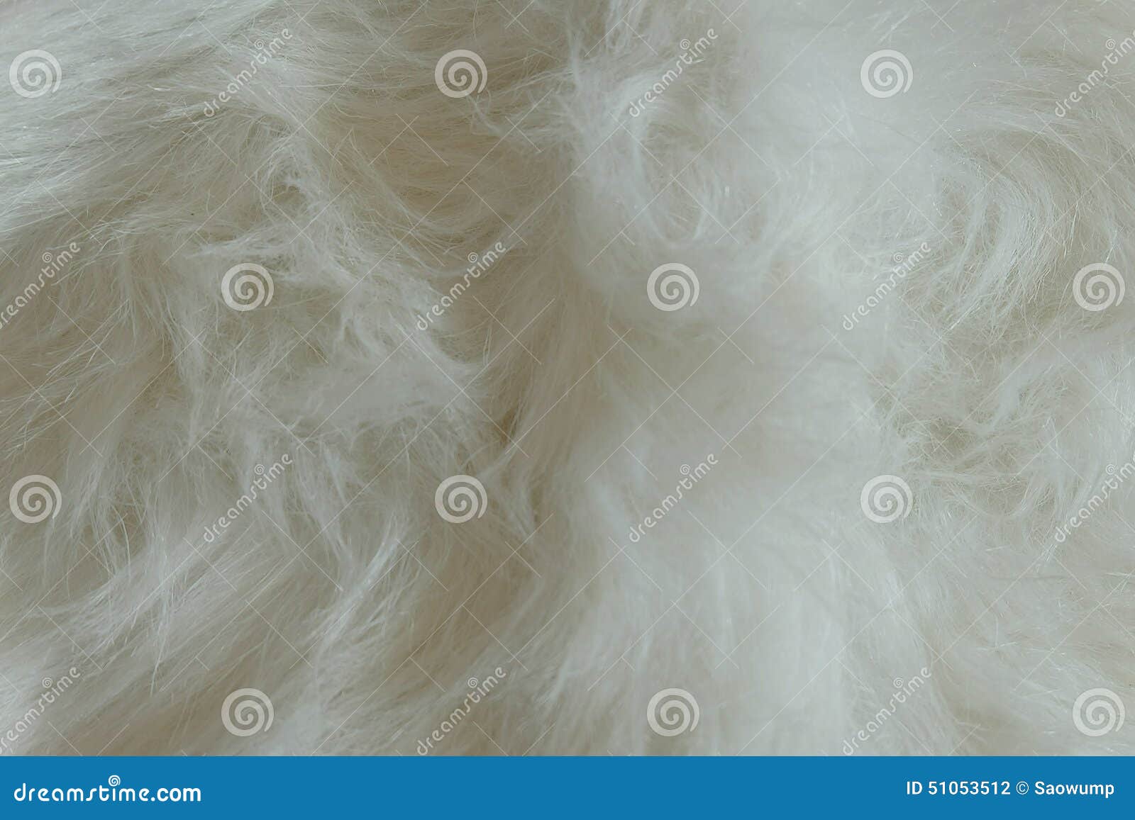 Luxury white fur texture stock photo. Image of soft, class - 51053512