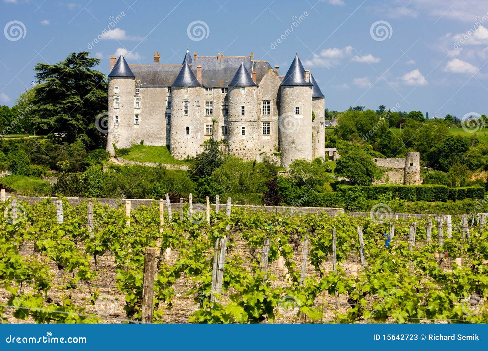 Luynes Castle stock image. Image of indre, heritage, castle - 15642723