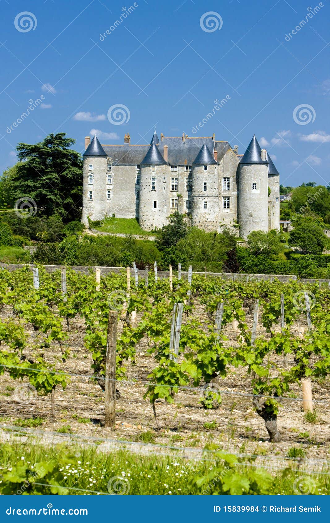 Luynes Castle stock photo. Image of centre, luynes, france - 15839984