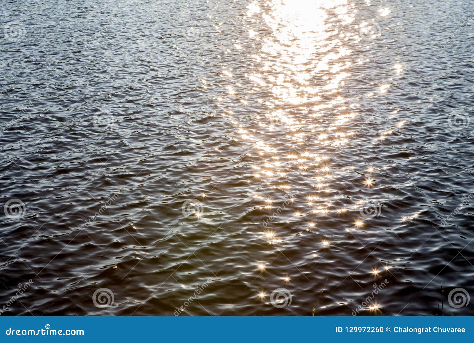 Luz Del Sol Reflejada En El Agua Foto de archivo - Imagen de chispa ...