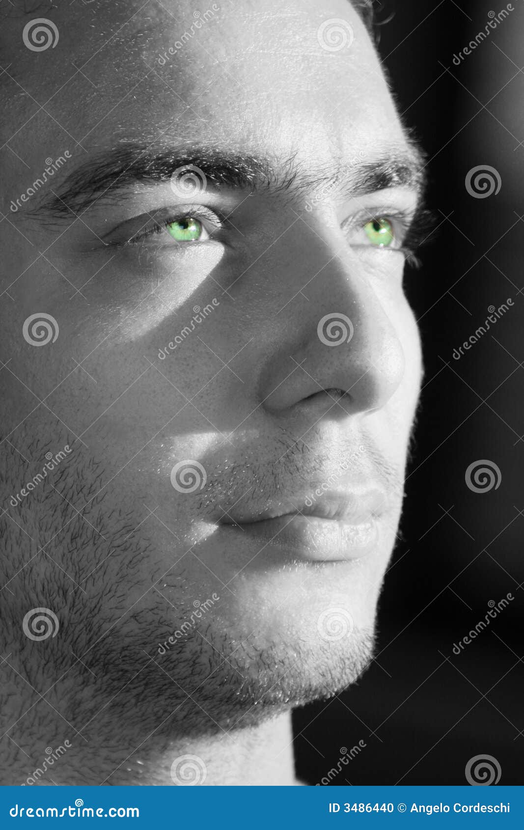 Luz Do Olhar Dos Olhos Verdes Foto de Stock - Imagem de preto, limpo ...