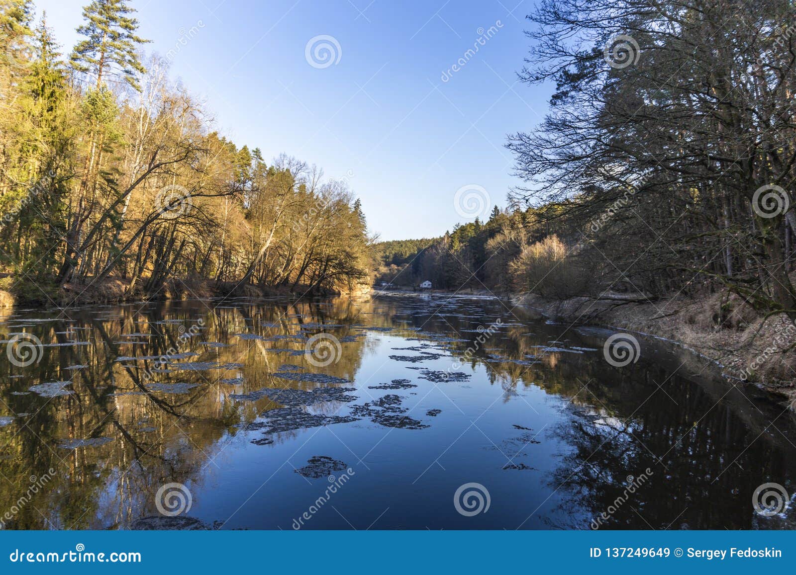 Luznice River at Springtime. Czecg Republic Stock Image - Image of ...