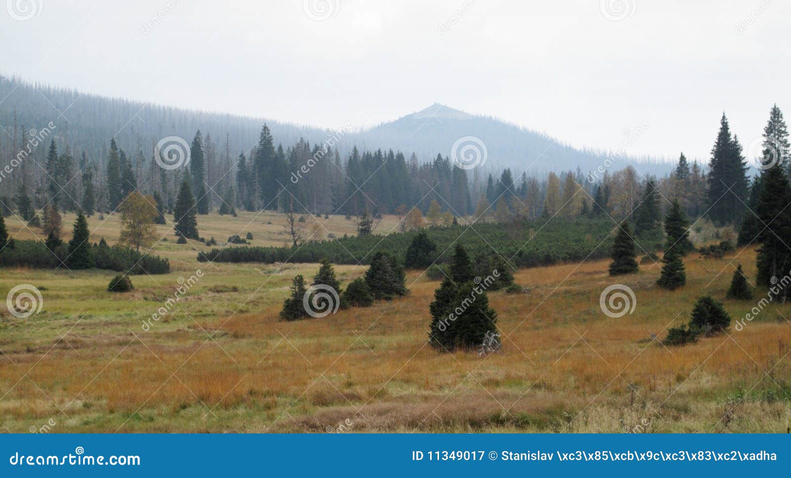 Luzny from Breznik stock image. Image of meadow, park - 11349017