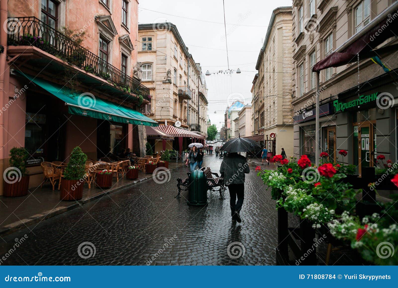 Lviv City Lanscape after Rain Editorial Stock Image - Image of city ...