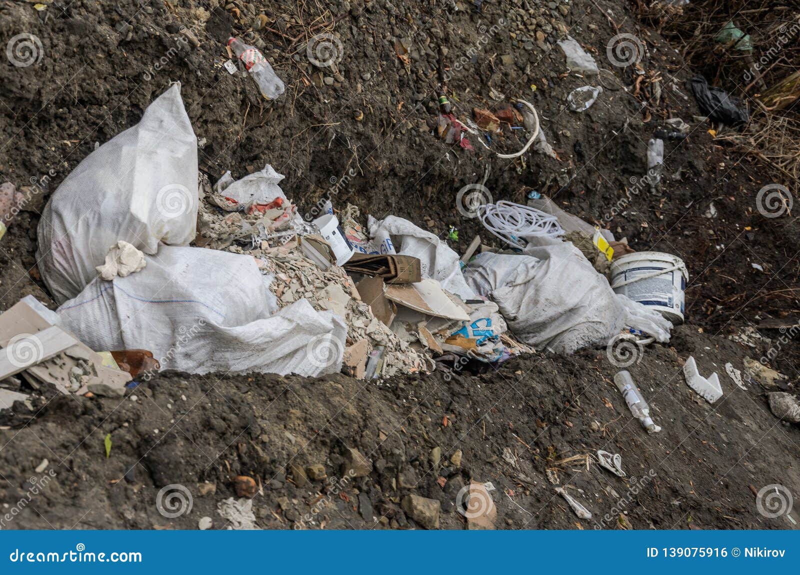LVIV, UKRAINE - FEBRUARY 2019: Elemental Garbage Dump in Nature ...