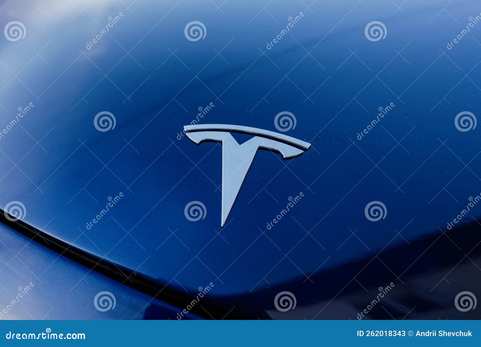Lviv, Ukraine - October 09, 2022: Logo on Blue Tesla Model Car ...
